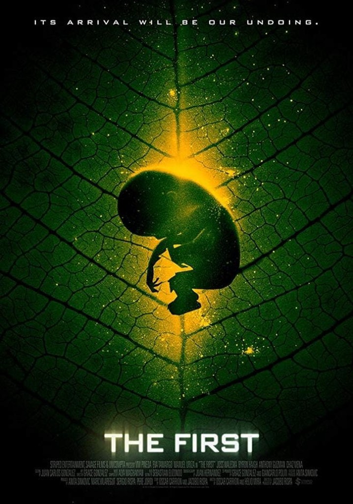The First - movie: where to watch stream online