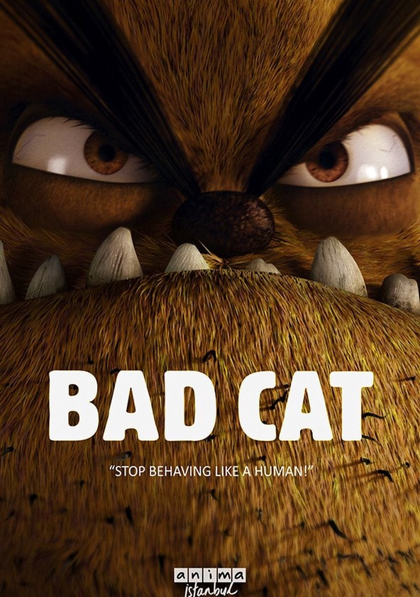 Bad Cat - movie: where to watch stream online