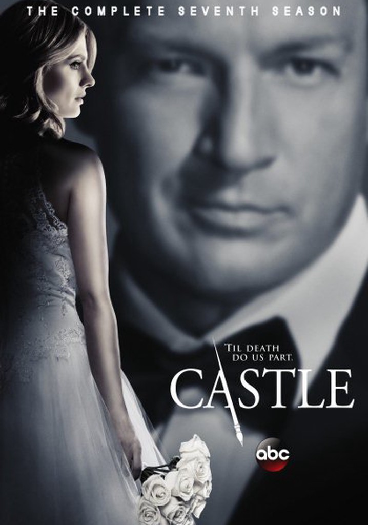 Castle - Detective tra le righe Stagione 7 - streaming online