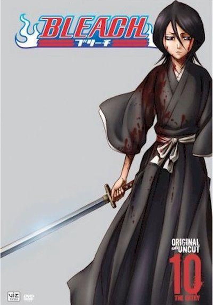 Saison 10 Bleach streaming: où regarder les épisodes?