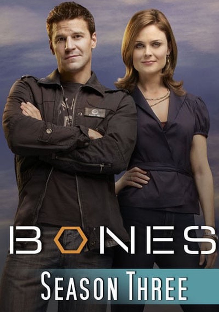 Bones temporada 3 - Ver todos los episodios online