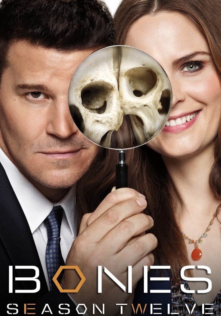 Bones Season 12 - watch full episodes streaming online