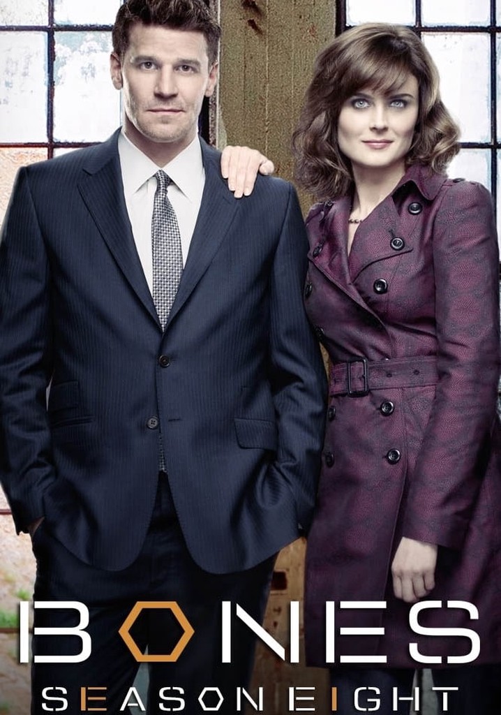 Bones temporada 8 - Ver todos los episodios online