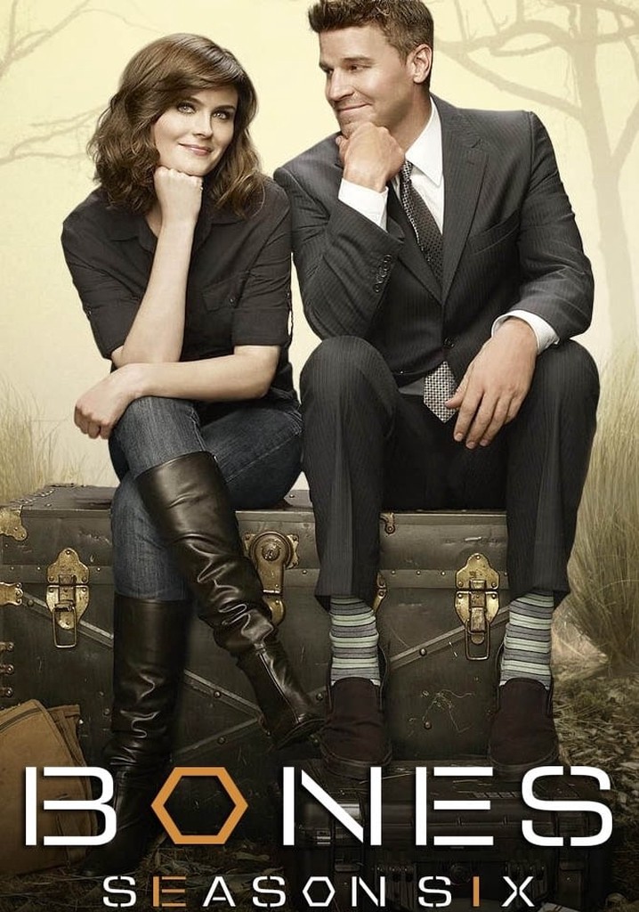 Bones temporada 6 - Ver todos los episodios online