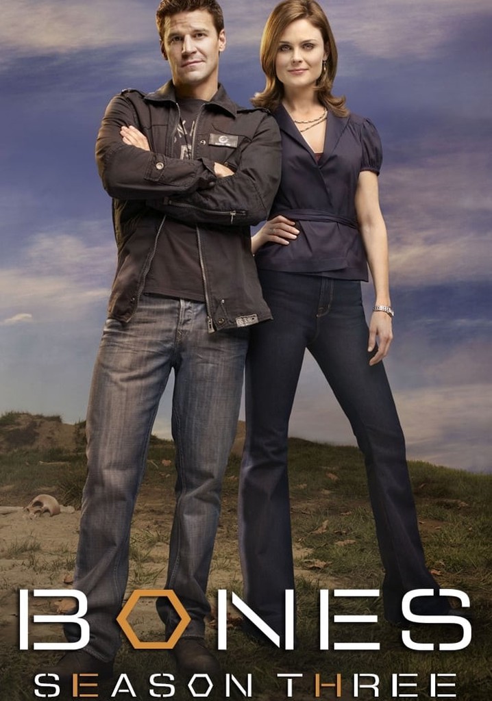 Bones Season 3 - watch full episodes streaming online