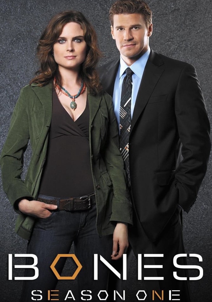 Bones Season 1 - watch full episodes streaming online
