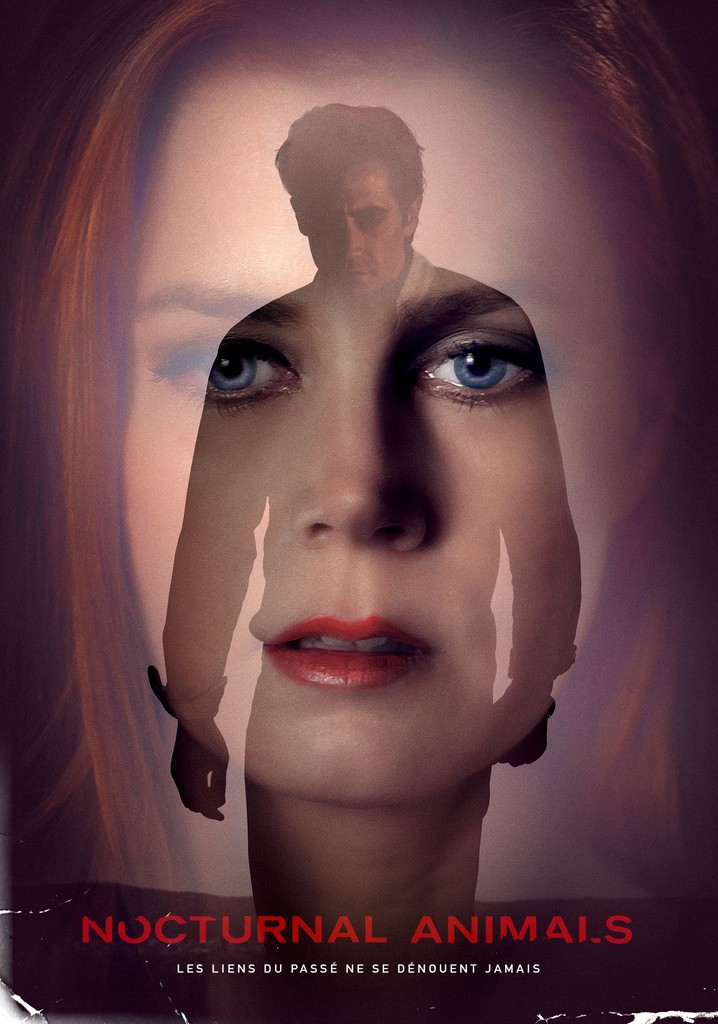 Regarder Animaux nocturnes en streaming complet