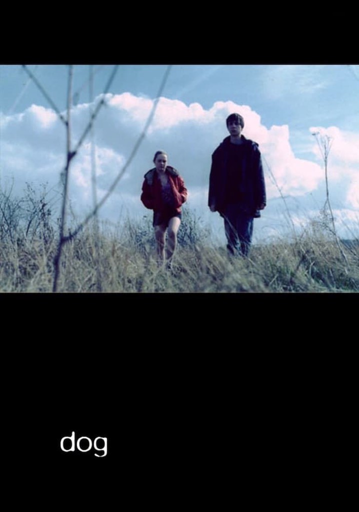 Dog streaming: where to watch movie online?