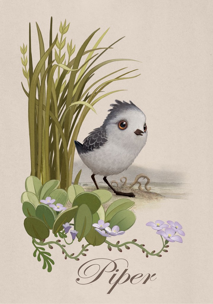 Piper streaming: where to watch movie online?