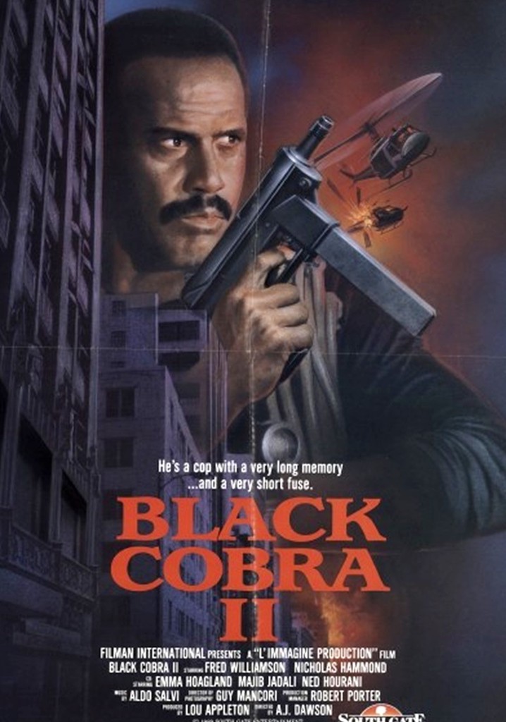Black Cobra II streaming: where to watch online?